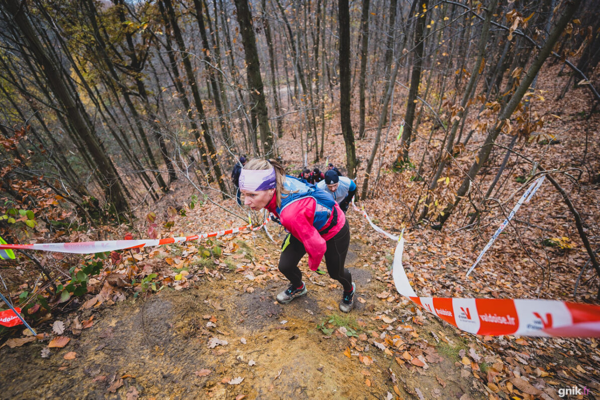 LES 40 BOSSES 2022 – gnik.fr